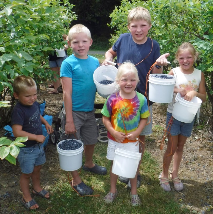 Hazen's Riverside Blueberries Coquille Oregon | Oregon's Finest U-Pick ...